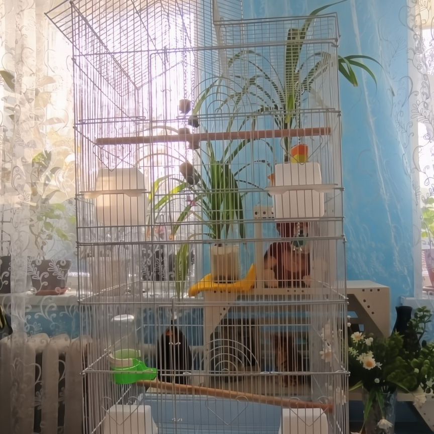 Большая клетка для птиц