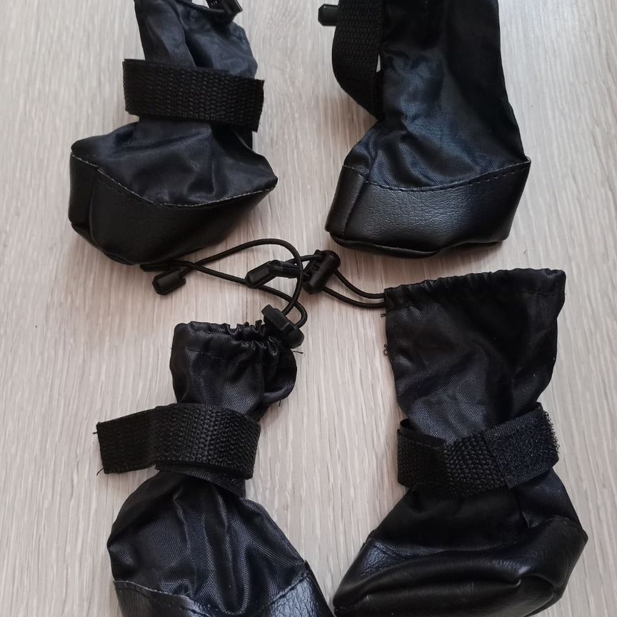 Обувь для маленьких собак