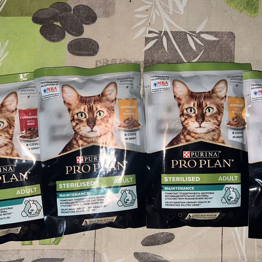 Корм для кошек проплан влажный proplan