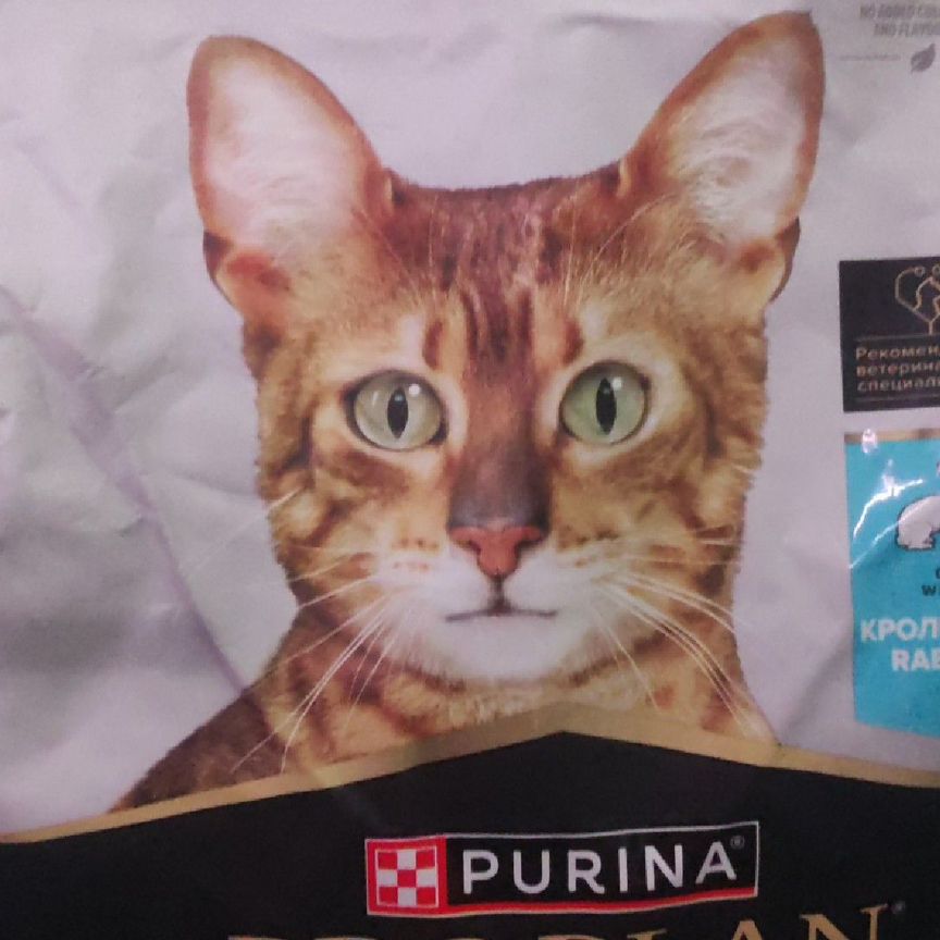 Корм для кошек
