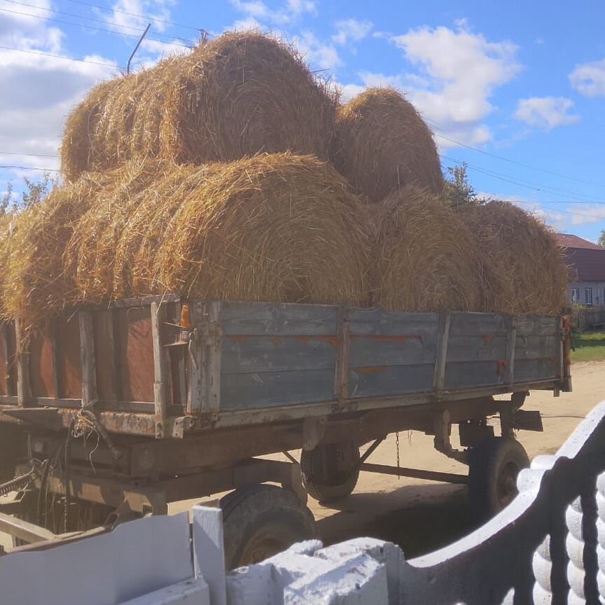 Солома в рулонах