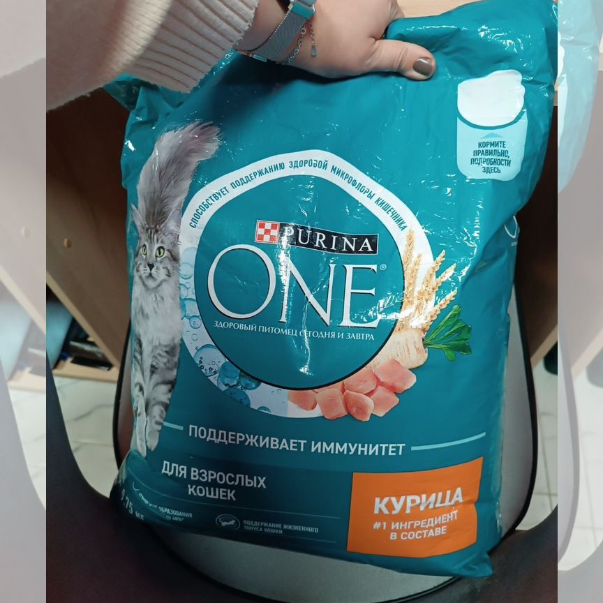 Корм для кошек purina one