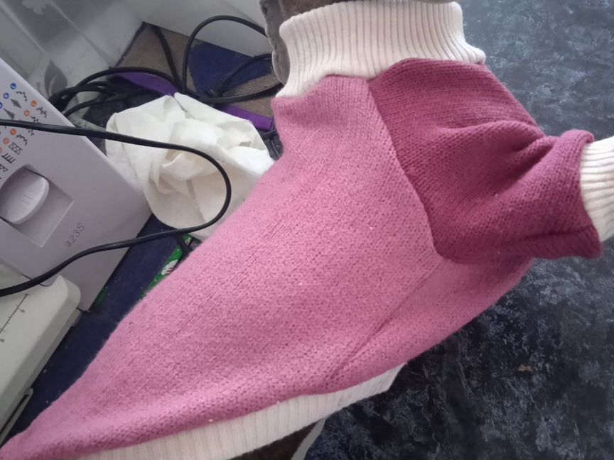 Одежда для собак