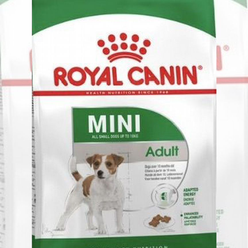 Корм для собак