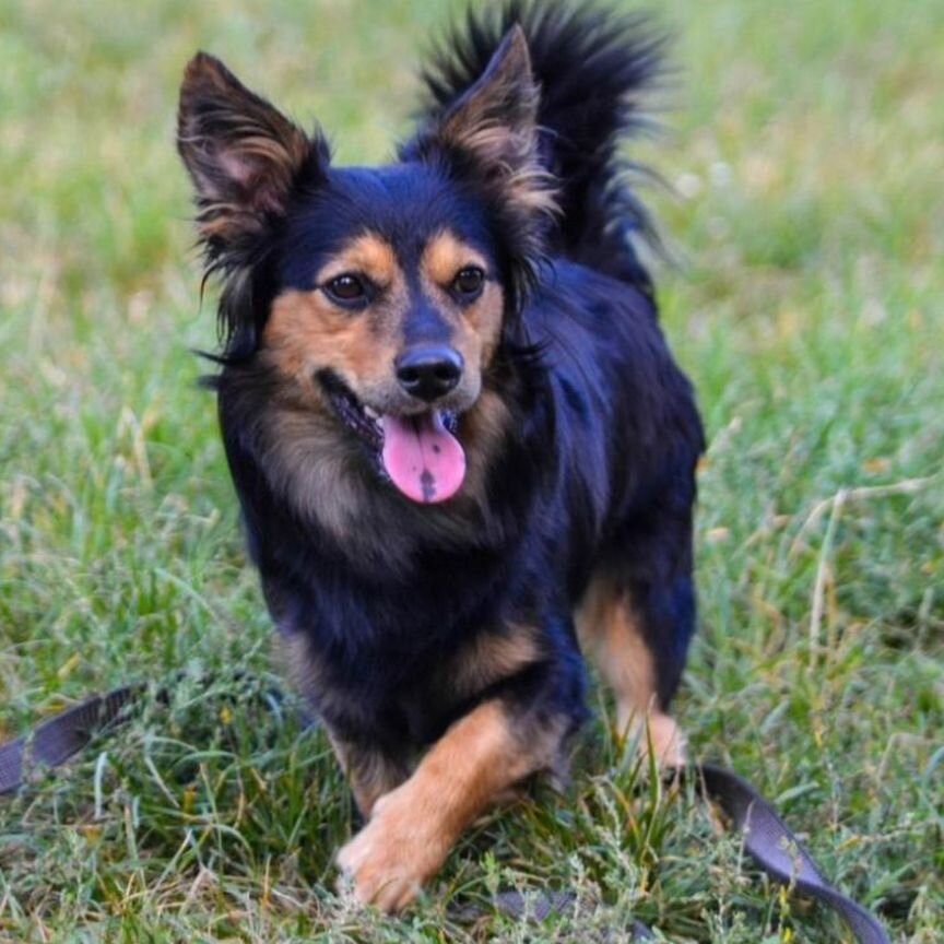 Маленькая мальчишка в добрые руки