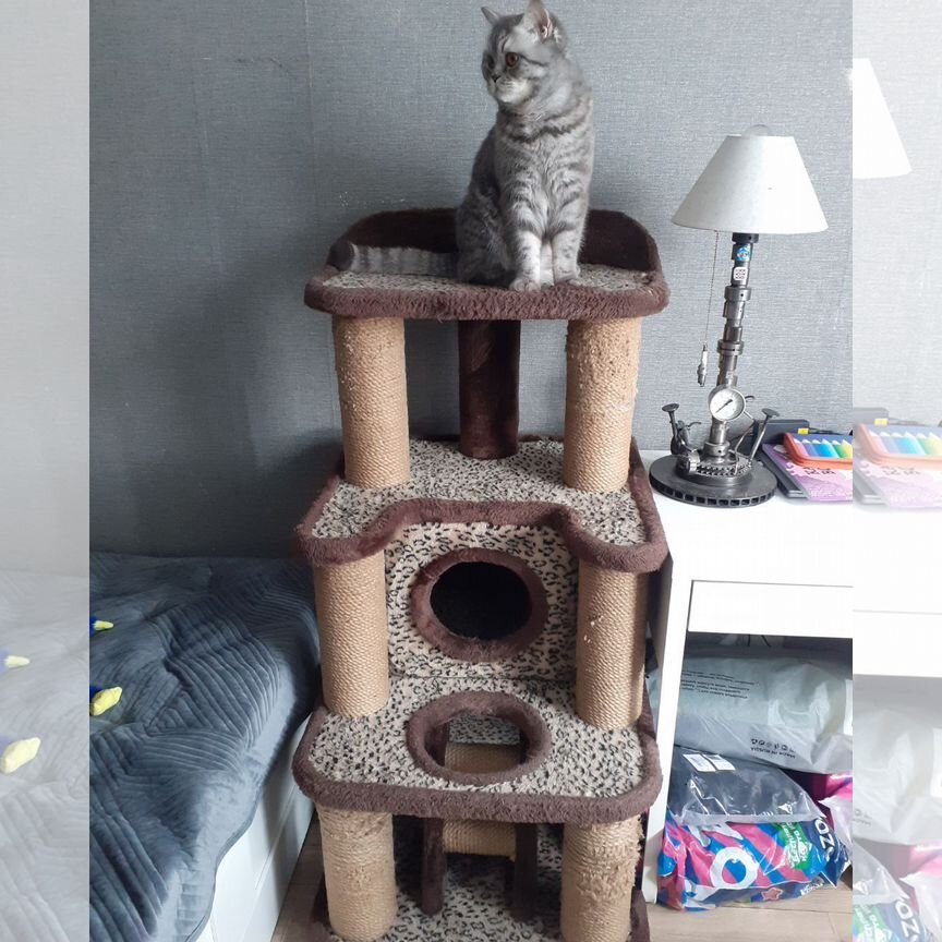 Домик для кошки с когтеточкой большой