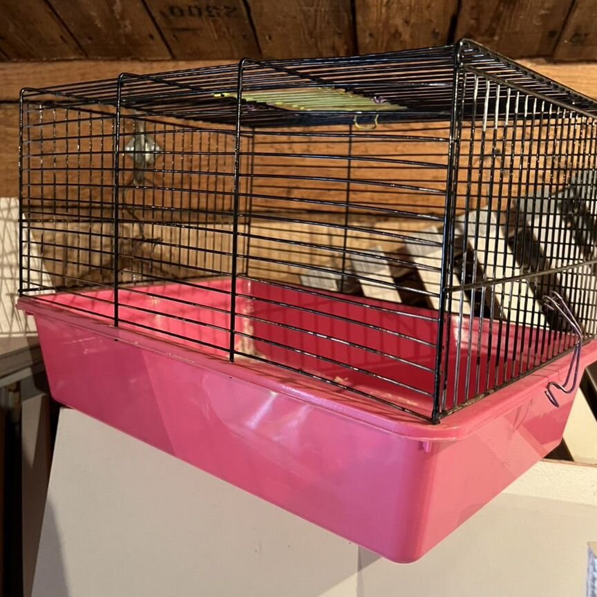 Клетки для грызунов