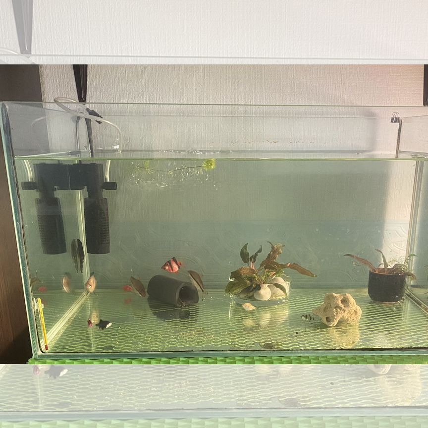 Аквариум для черепашки