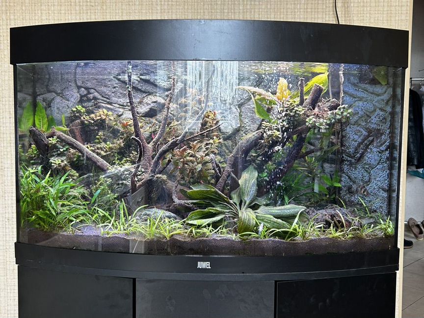 Аквариум juwel Vision 180 LED с тумбой