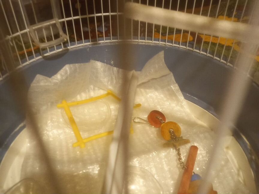 Клетка птичья, италия, 62 см высотой