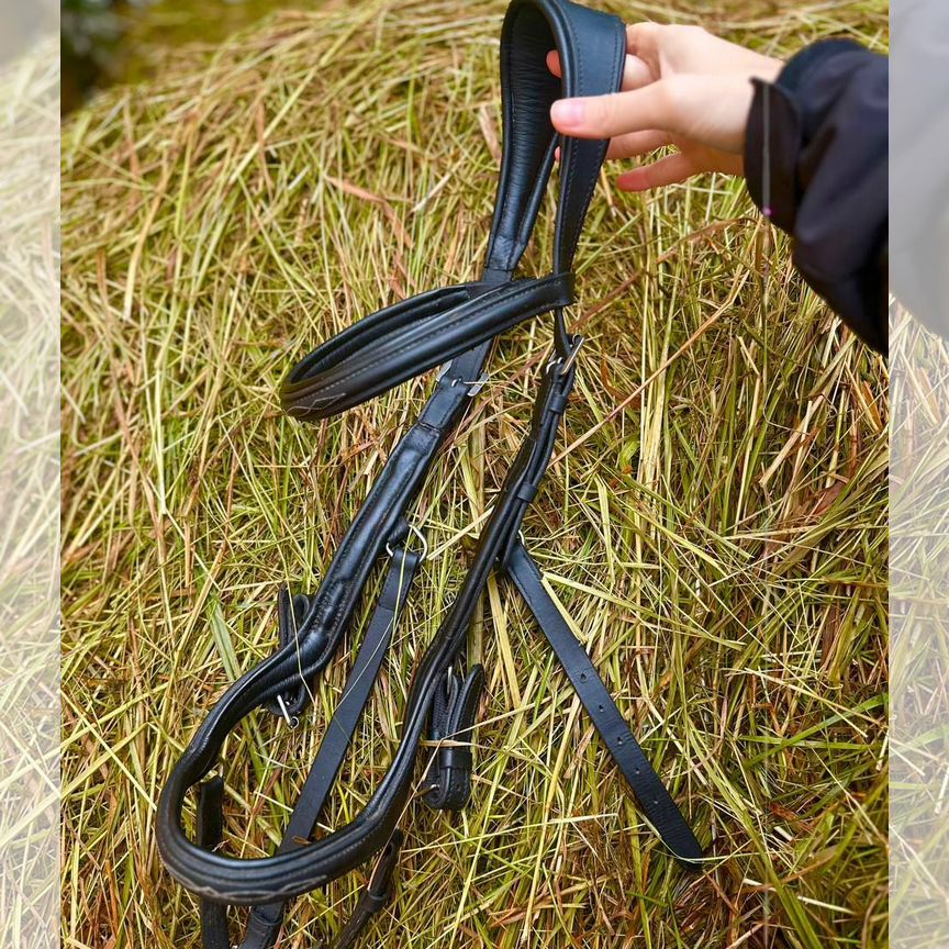 Оголовье для лошади