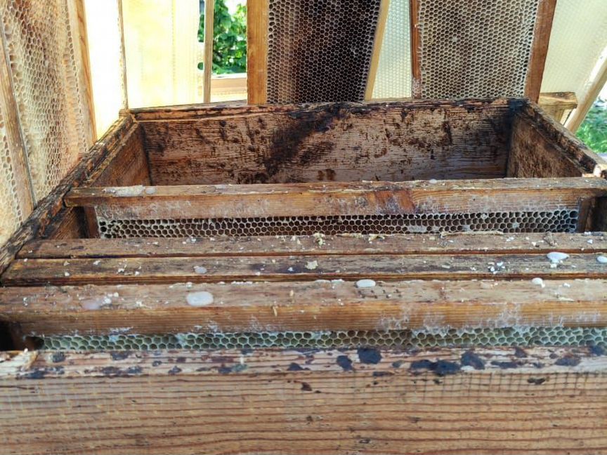 Полурамки с сушью