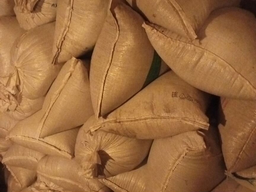 Продам пшеницу зерно