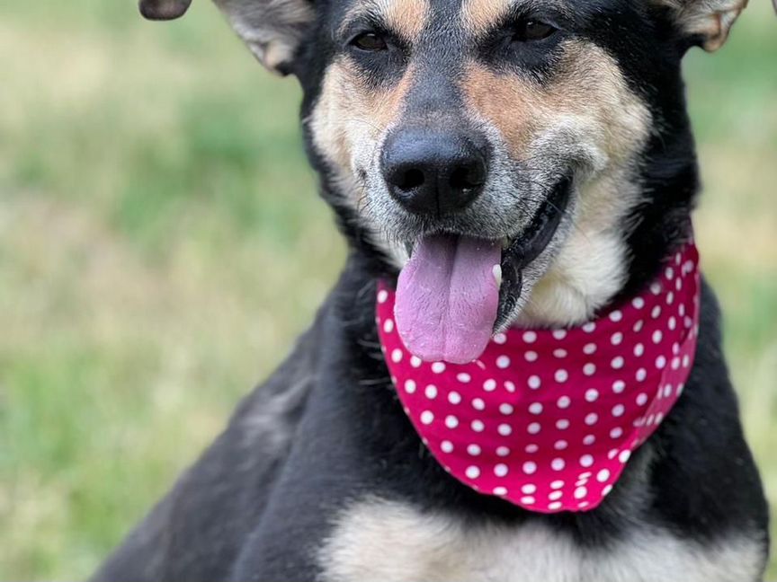 Она мечтает оказаться дома