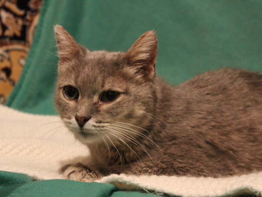 Ксюша ласкуша