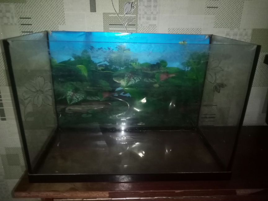 Аквариум
