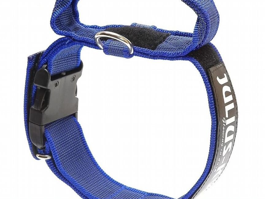 Ошейник поводок julius k9