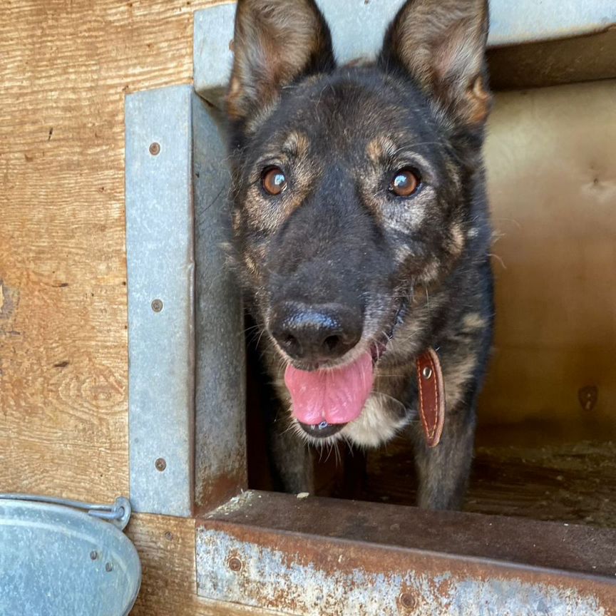 Мне нечем есть