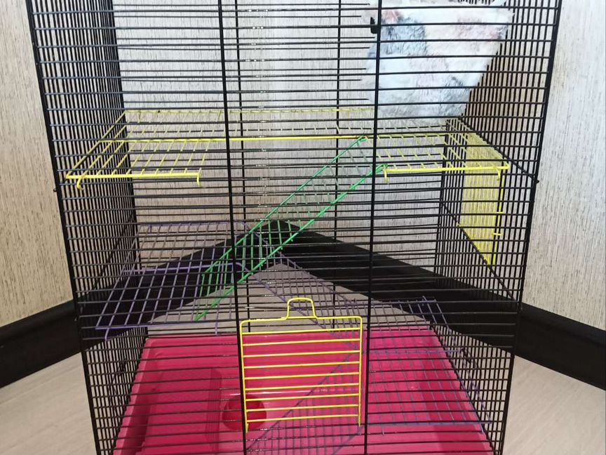 Клетка для крыс