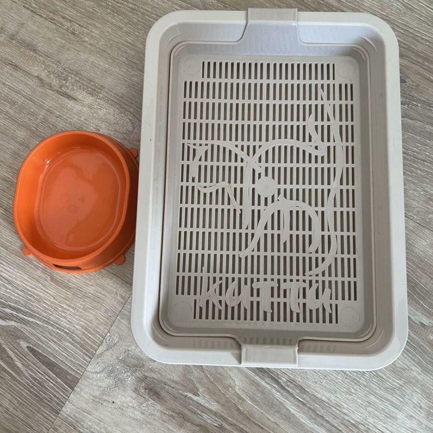 Лоток для котят