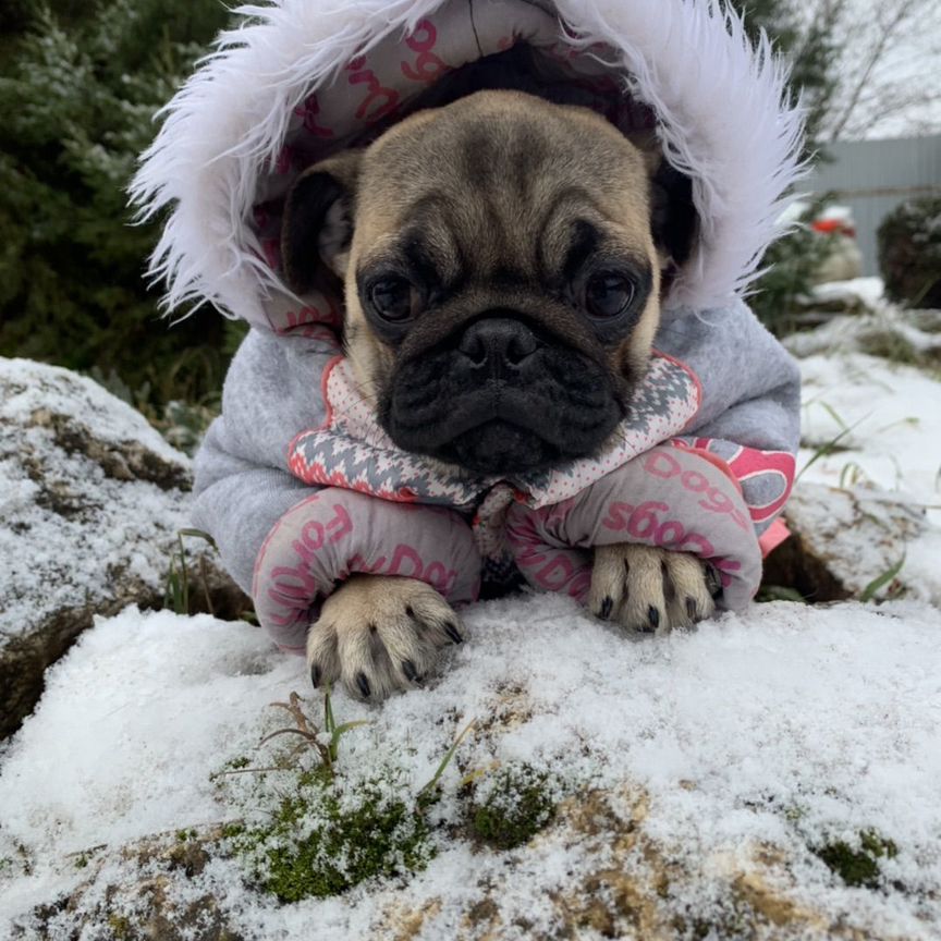 Девочка Кира