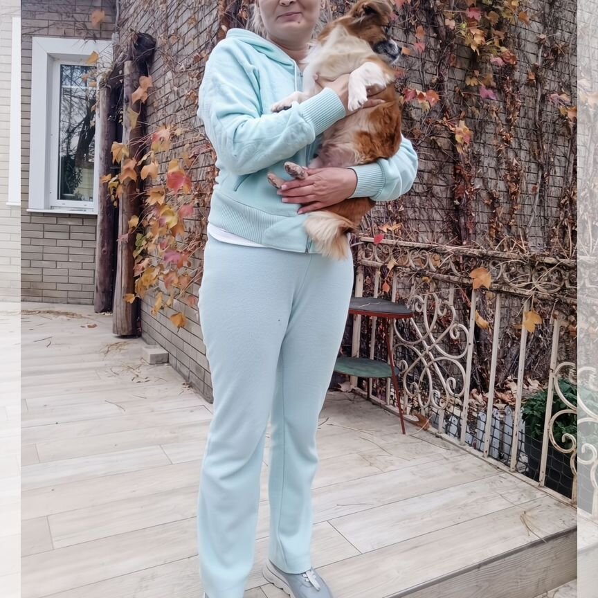 Взрослая собака в добрые руки