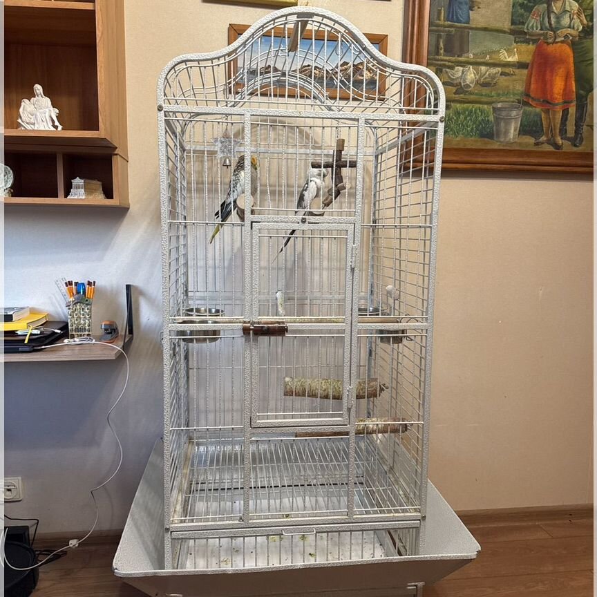 Клетка с двумя попугаями и разное
