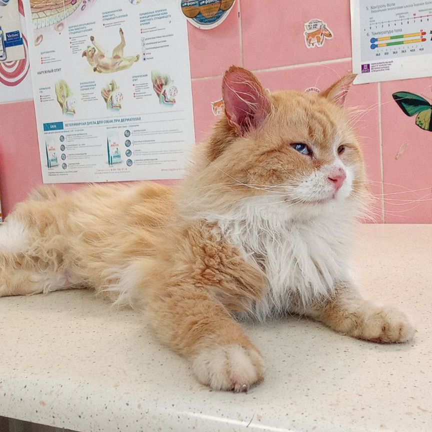 Помощь бездомному