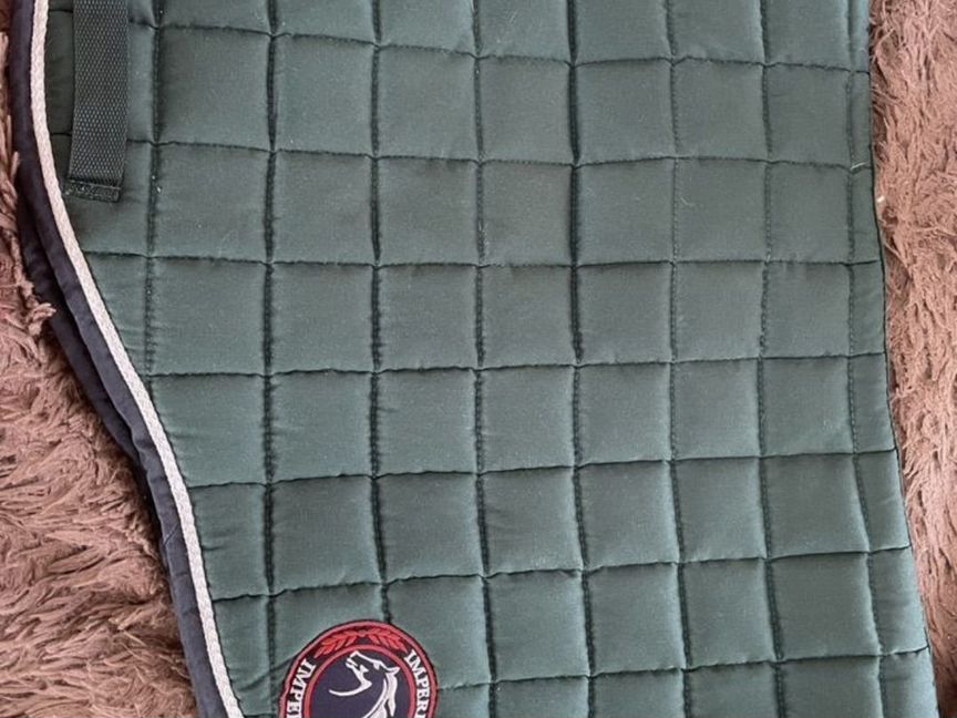 Вальтрап для лошади с бинтами