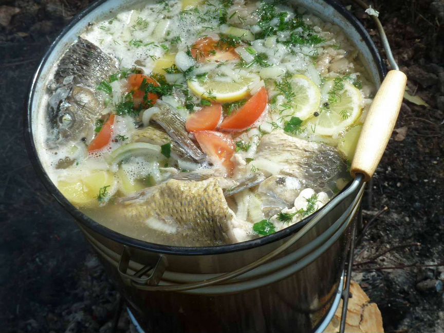 Пищевые отходы из школьной столовой, Бесплатно