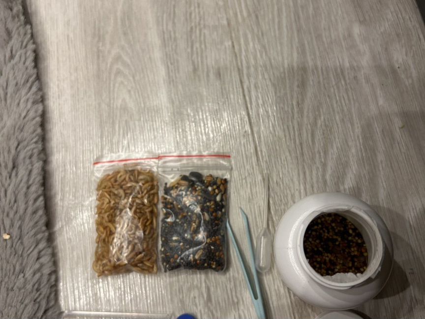 Мини набор еды для муравьёв