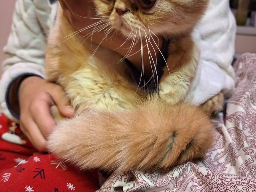 Экзотическая