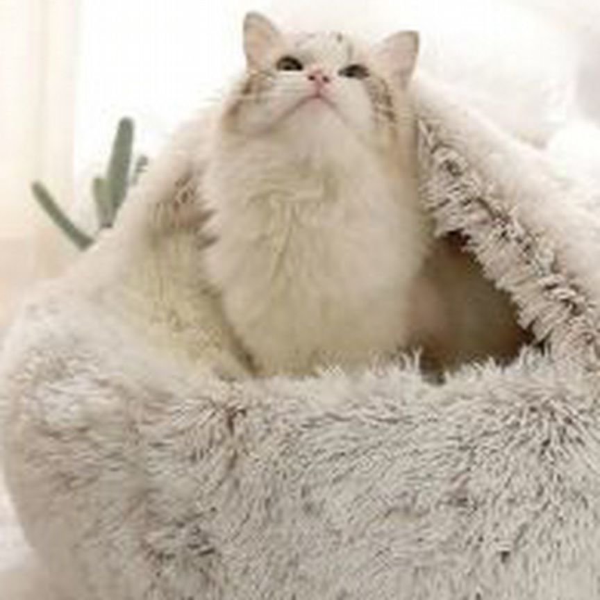 Лежанка, которая вводит котов в блаженный транс