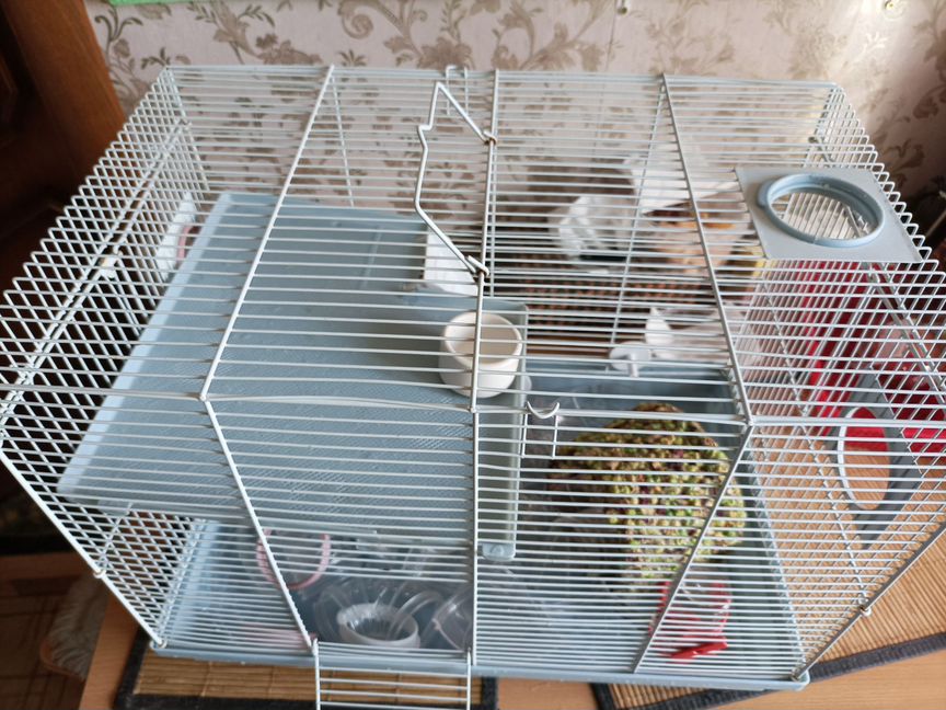 Клетка для грызунов