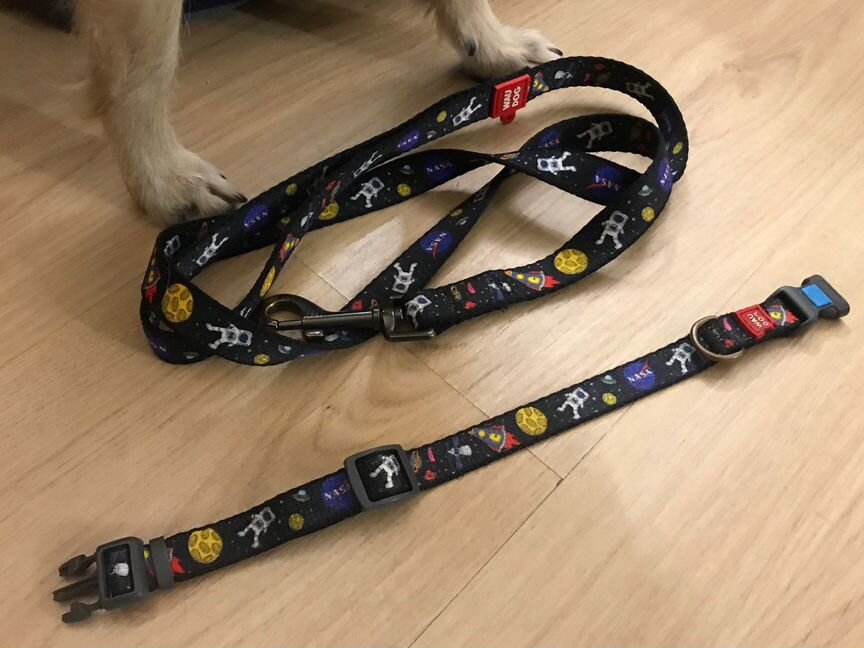 Ошейник и поводок Waudog nasa