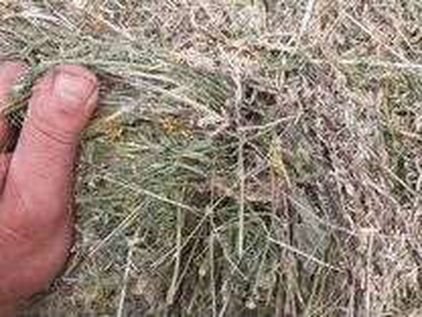 Сено, трава