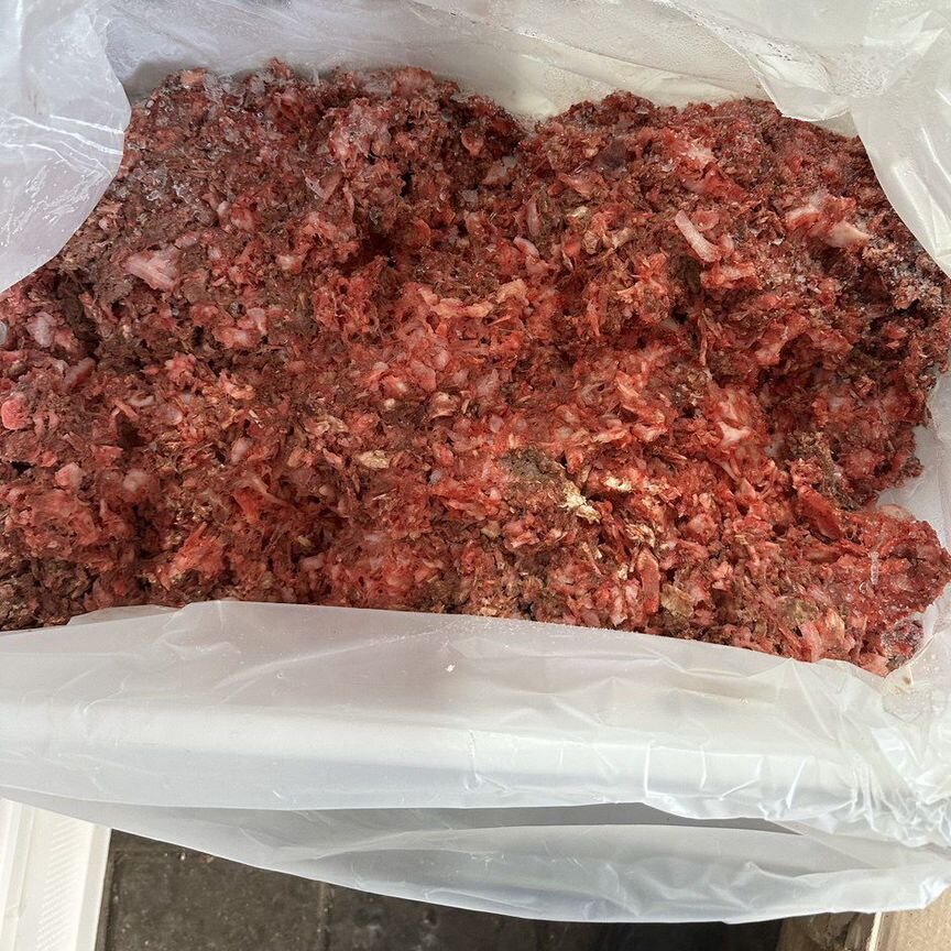 Корм для собак