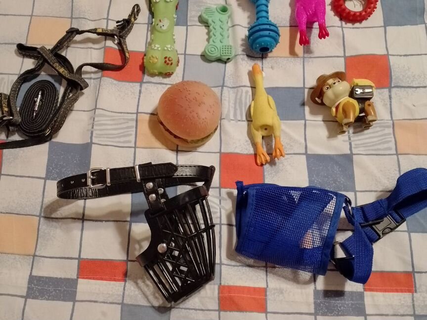 Аксессуары для собак