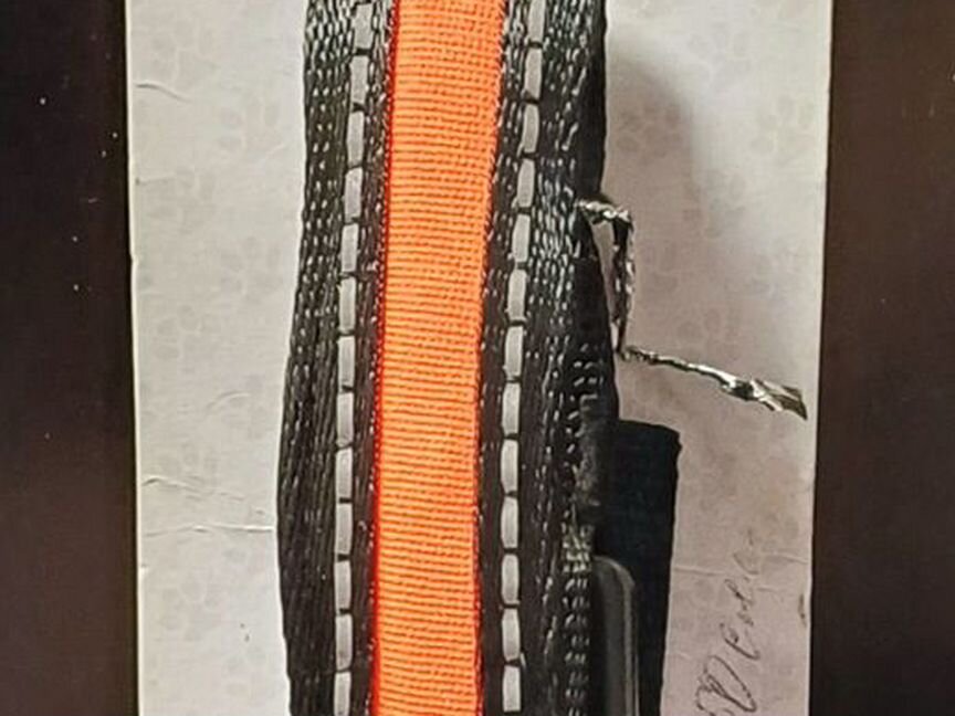 Ошейник с LED подсветкой Pet Fun