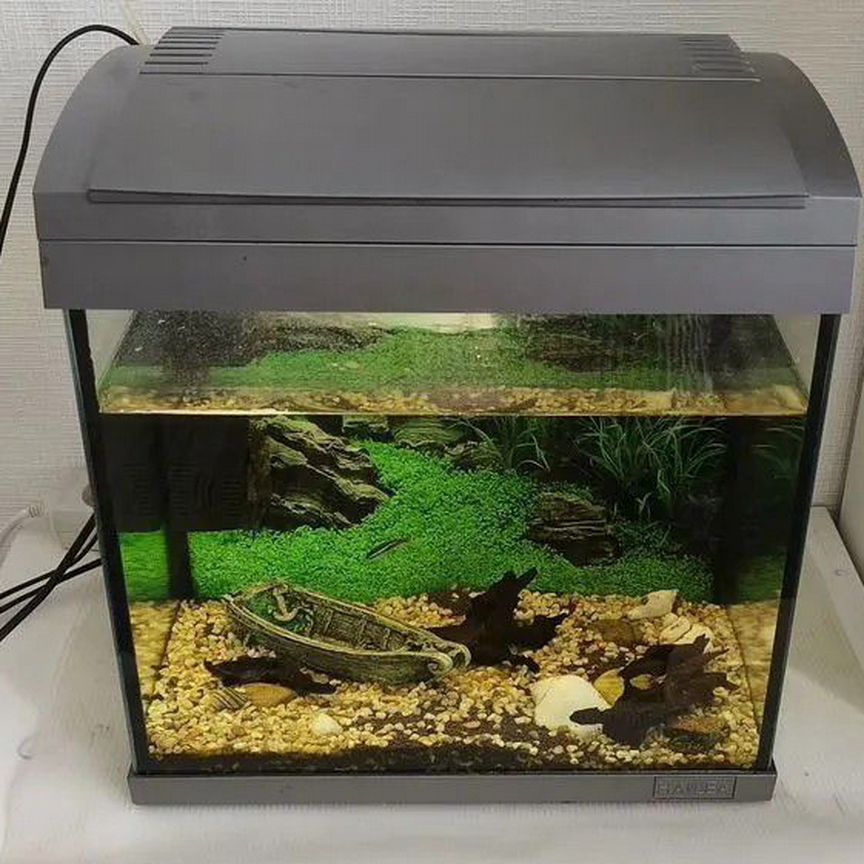 Аквариум с рыбками