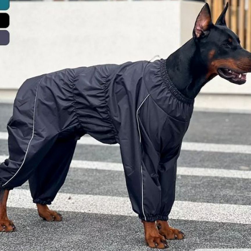 Дождевик для собаки (самки)