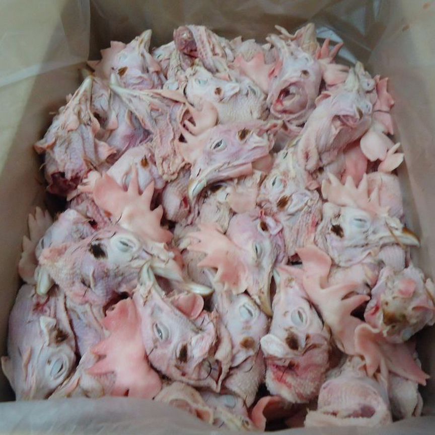 Продукты для животных (головы куриные)