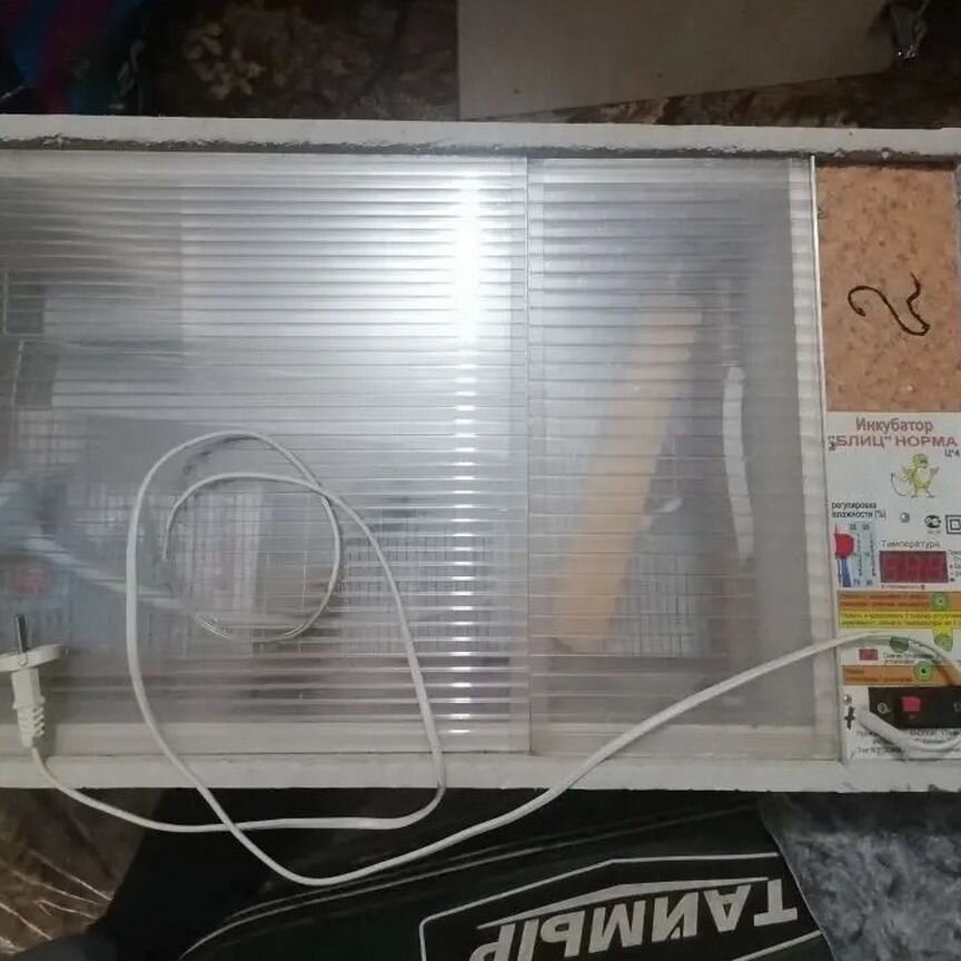 Инкубатор блиц норма