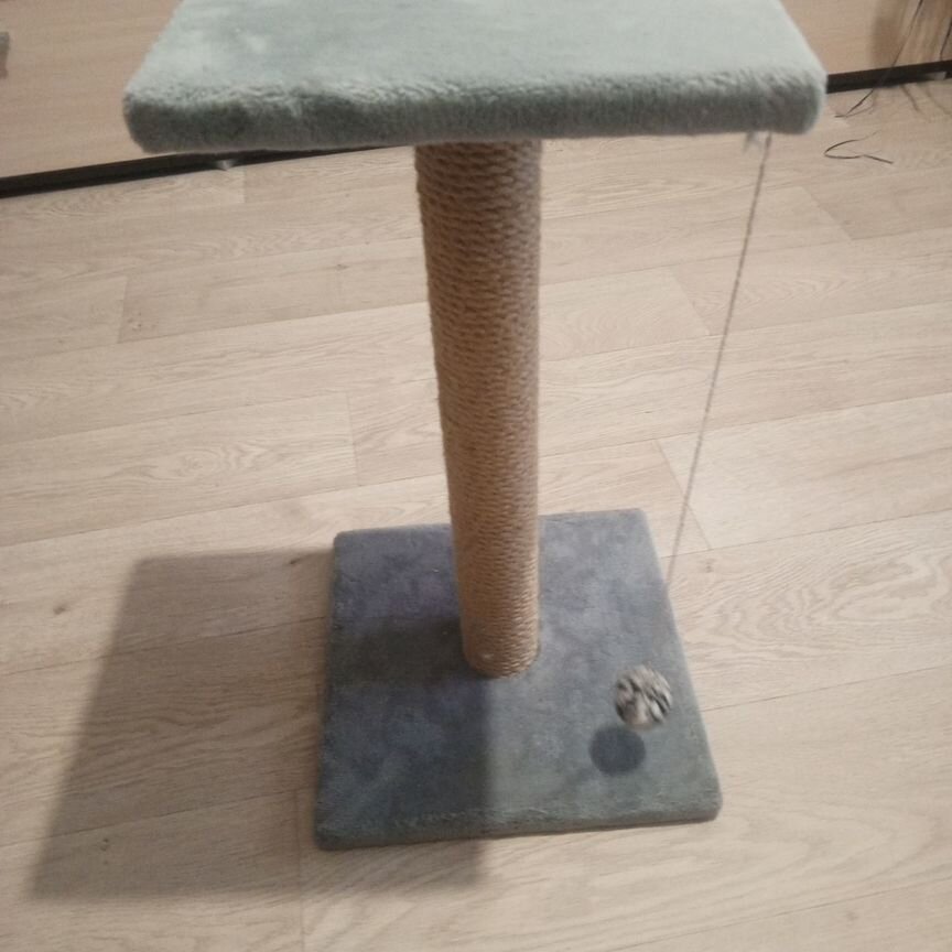 Когтеточка для кошек