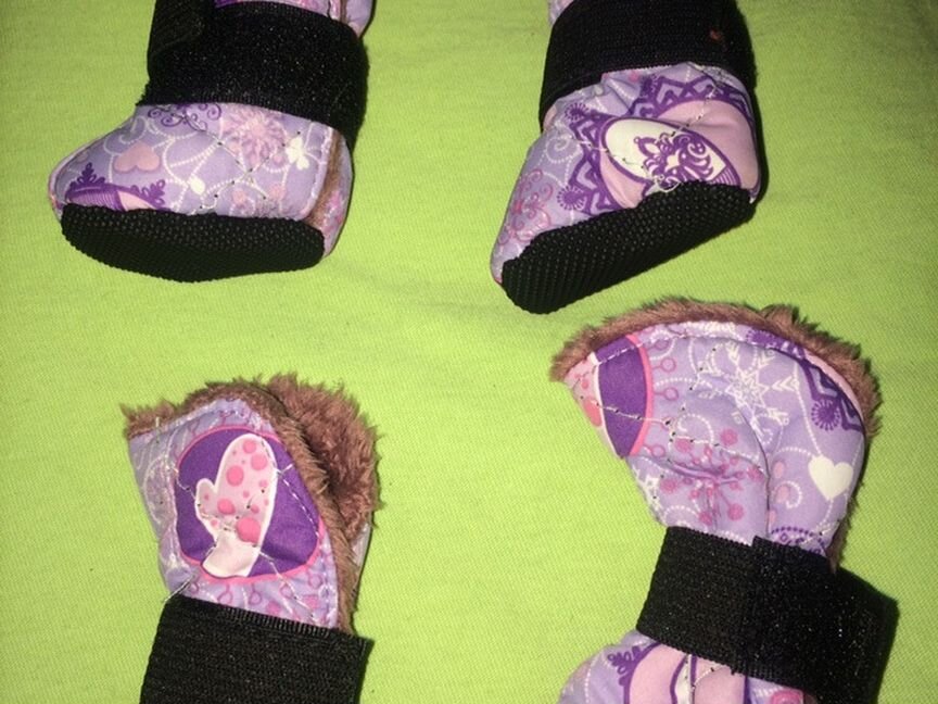Зимние сапожки и комбинезон для маленьких собачек