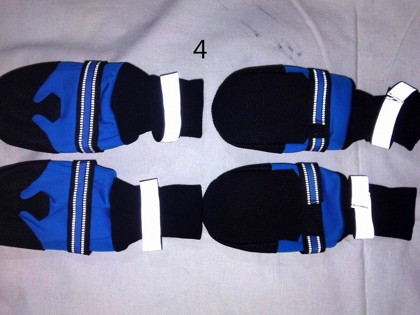 Одежда и акссесуары собакам