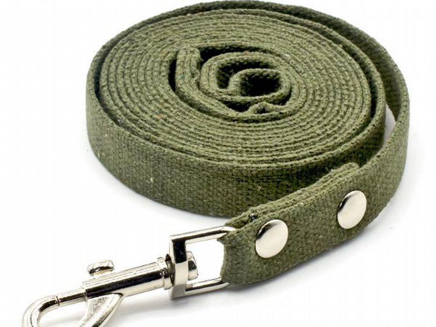 Рич Пет Поводок брезент Green Dog Карабин №23 20мм