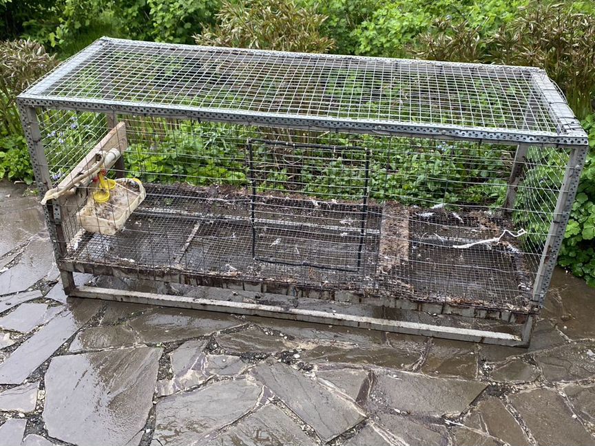 Клетка для кур и бройлеров