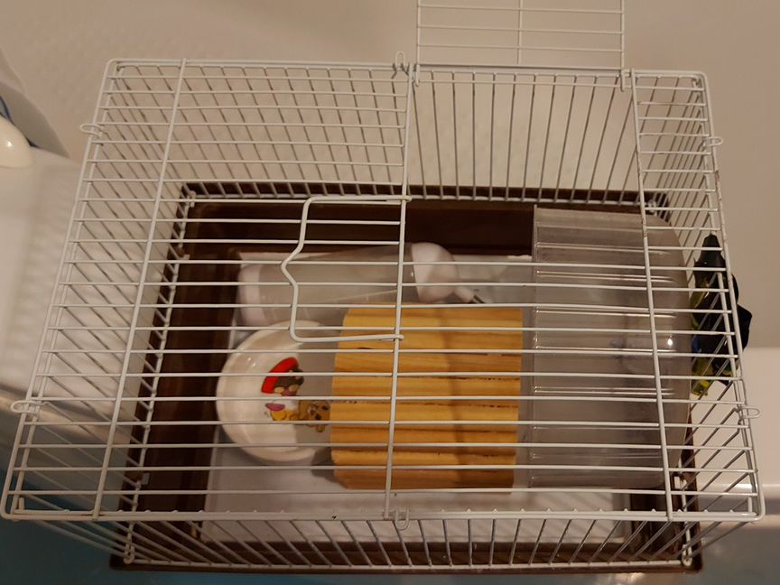 Клетка для хомячка с принадлежностями
