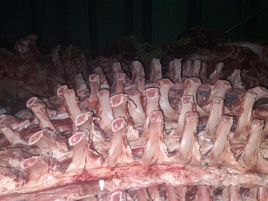 Кость говяжья